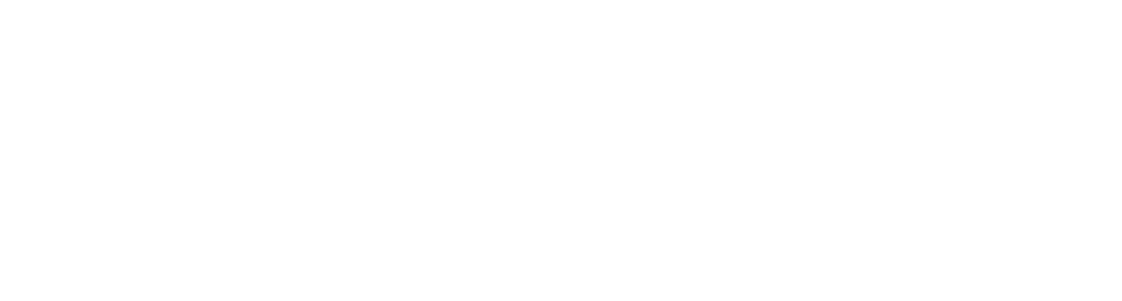 ESEM - Escola de Segurança Multidimensional